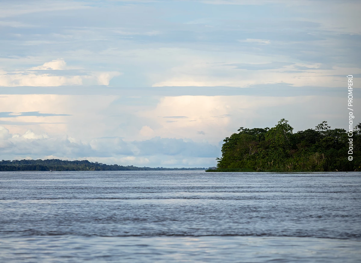 Río Amazonas: 5 datos claves que debes conocer del gigante del mundo ...