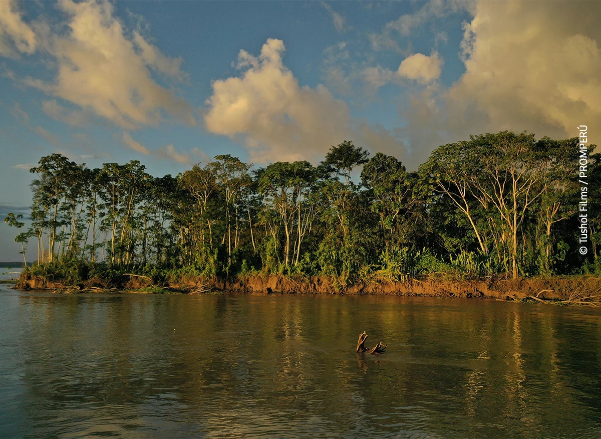 Río Amazonas: 5 datos claves que debes conocer del gigante del mundo ...